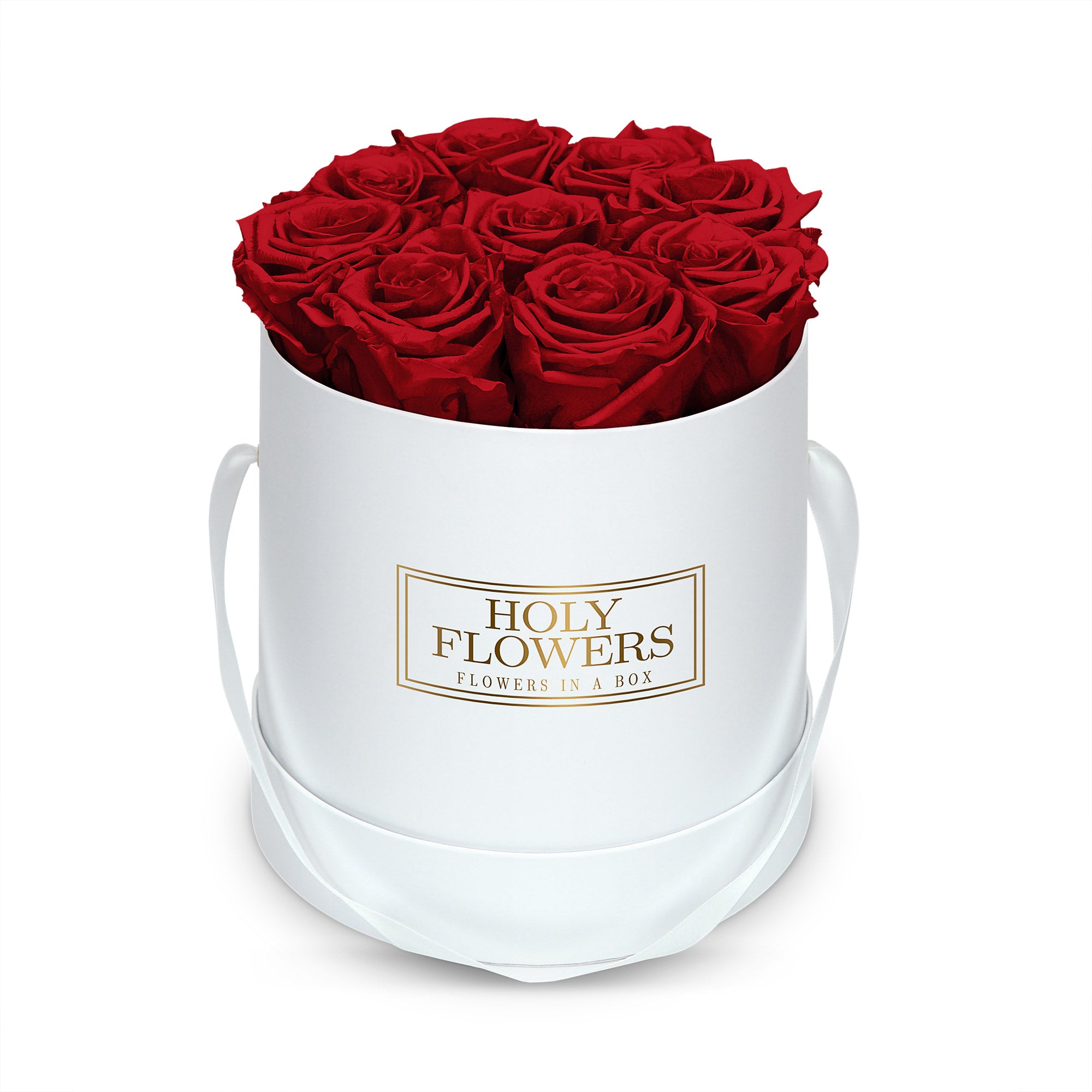 Infinity Rosen – Die perfekte Geschenkidee